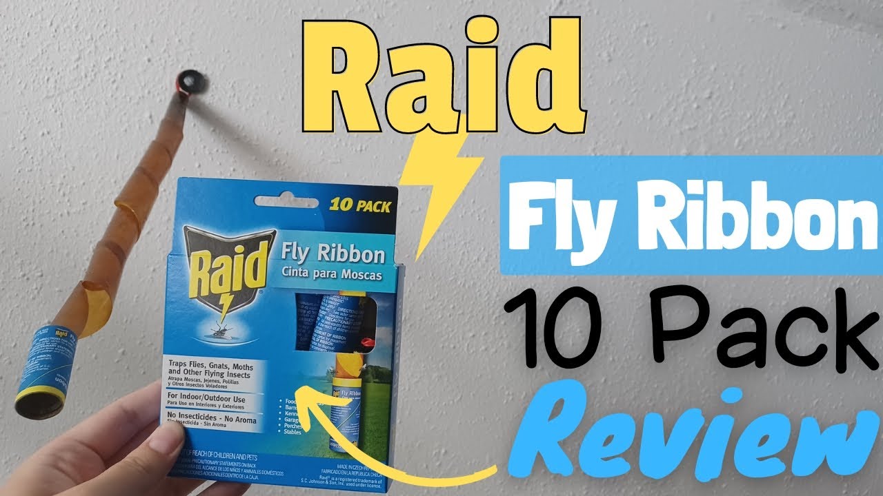 Raid Fly Ribbon 10 Count Review - YouTube