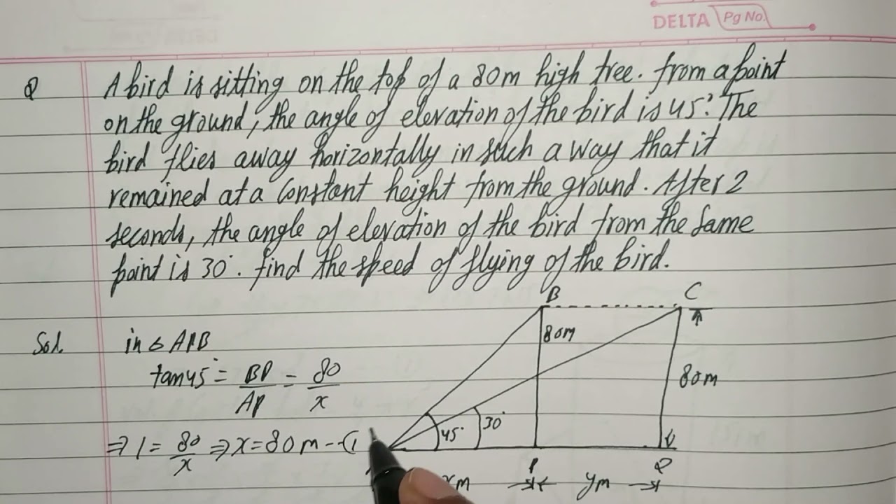 A bird is sitting on the top of an 80m high tree from a point on the ...