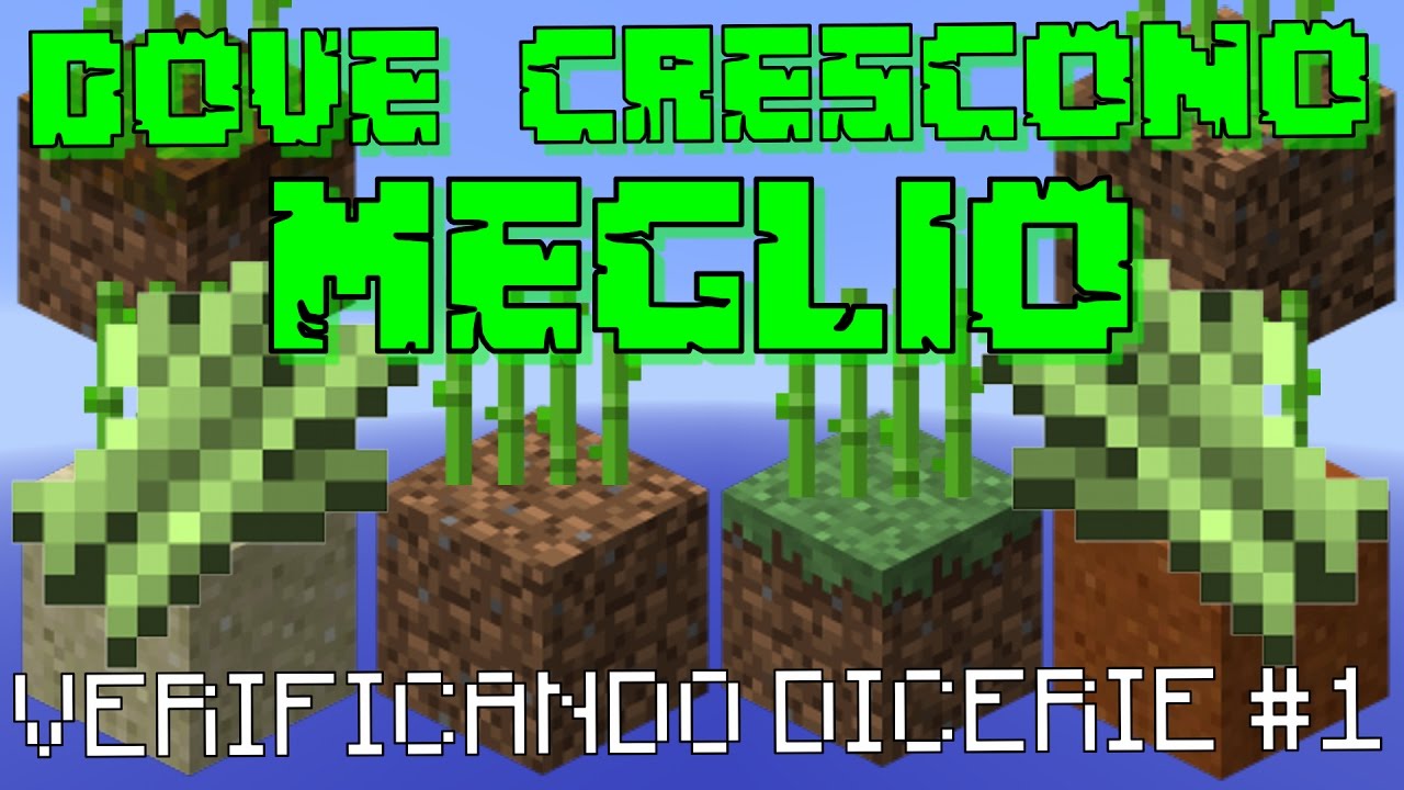 DOVE CRESCONO MEGLIO LE CANNE DA ZUCCHERO? - Minecraft: verificando ...