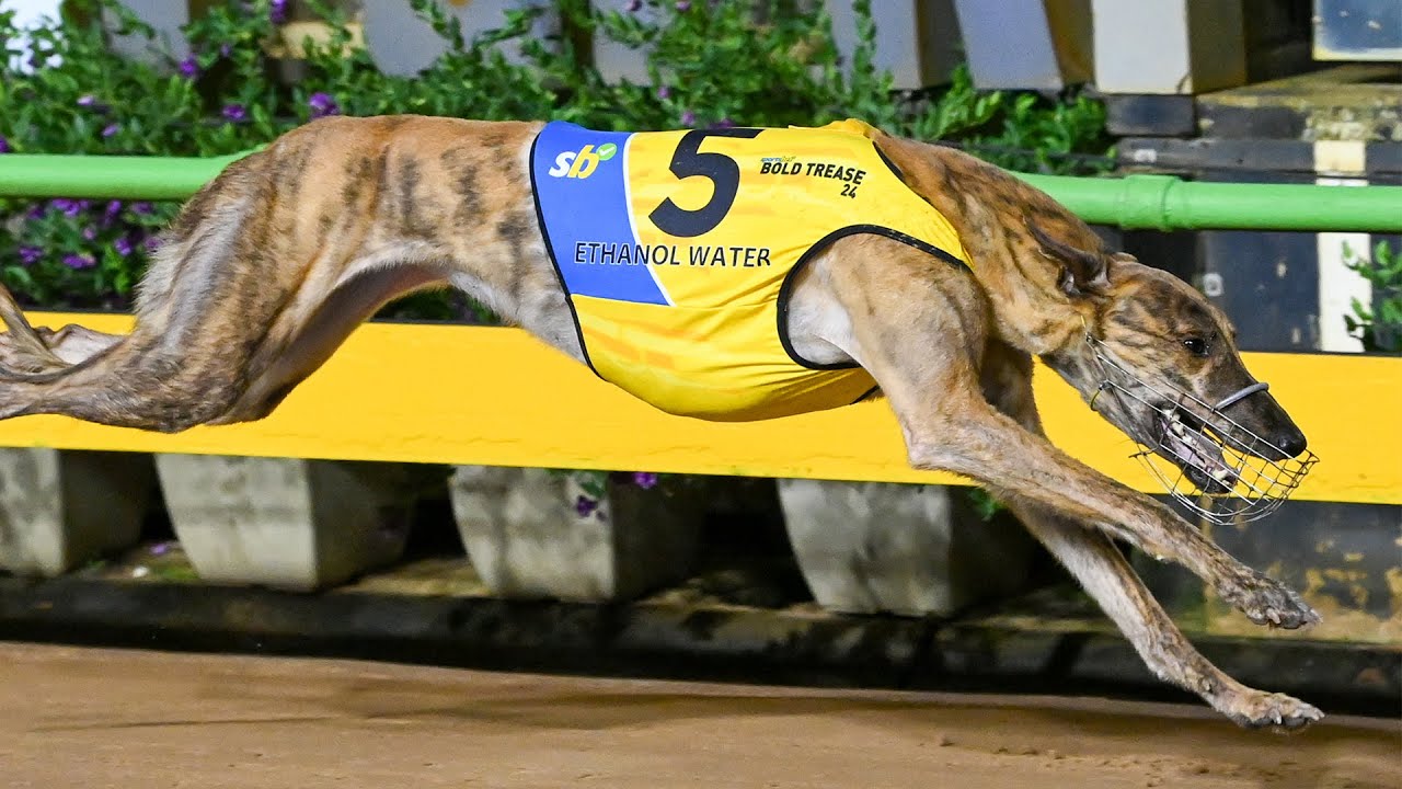 2024 Sportsbet Bold Trease | Ethanol Water - YouTube