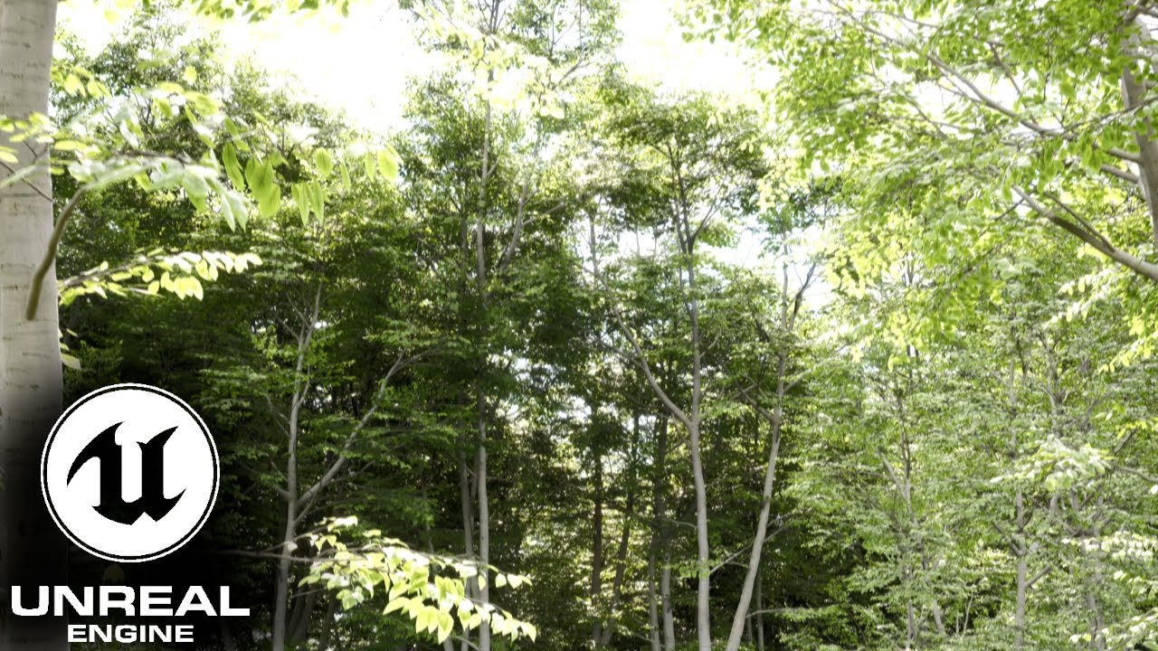 Realistic Forest In Unreal Engine 5 😨😨........ - YouTube