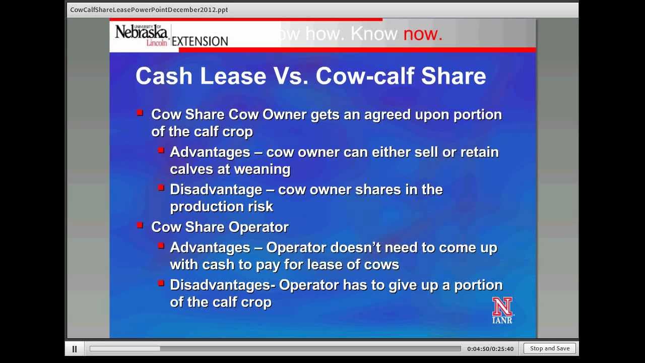 Cow-Calf Share or Cash Cow Leases - YouTube