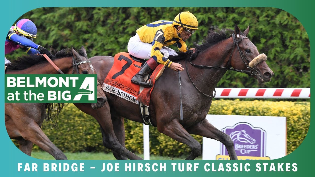 Far Bridge - 2024 - Joe Hirsch Turf Classic - YouTube