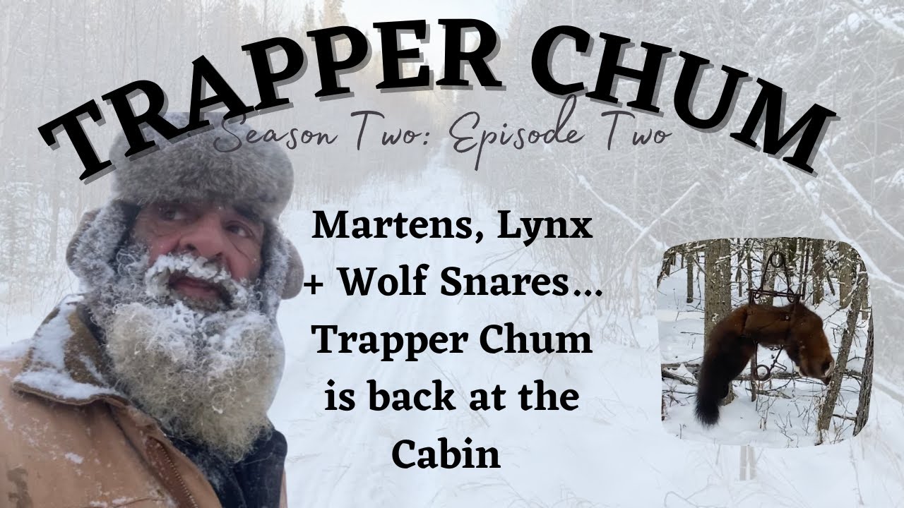 SEASON TWO: Episode 2 Martens, Lynx + Wolf Snares... Trapper Chum is ...