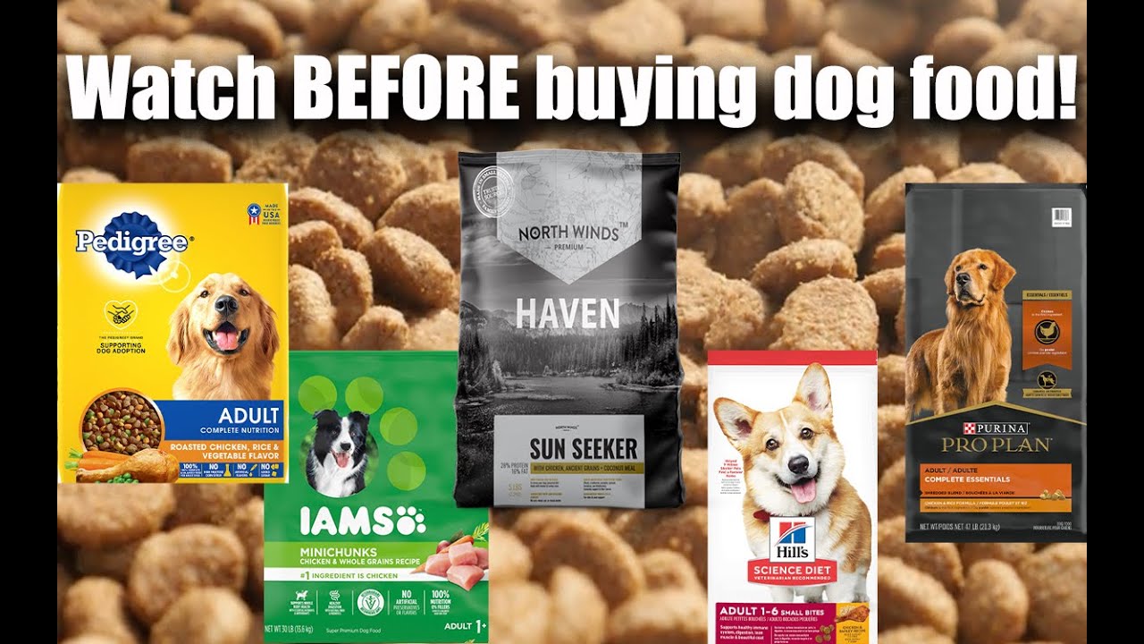 Top 5 Most Popular Dog Foods Compared (2021) - YouTube
