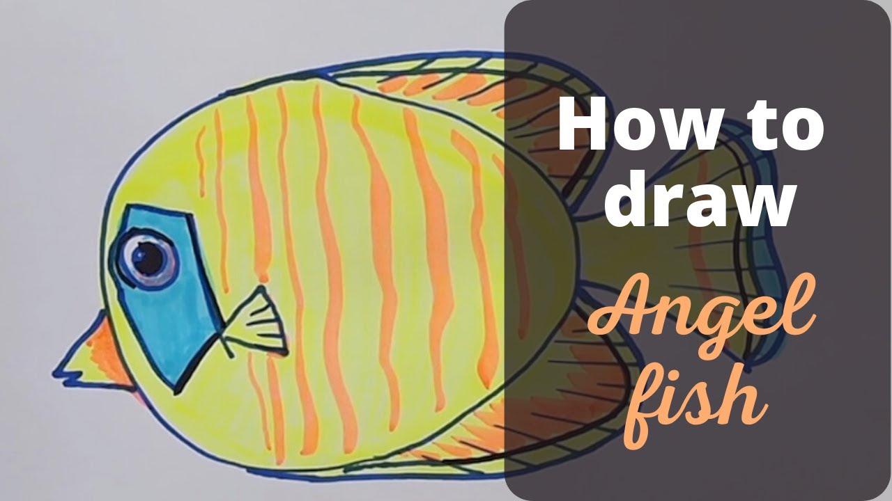How to draw an Angelfish - EASY TROPICAL FISH drawing for children or ...