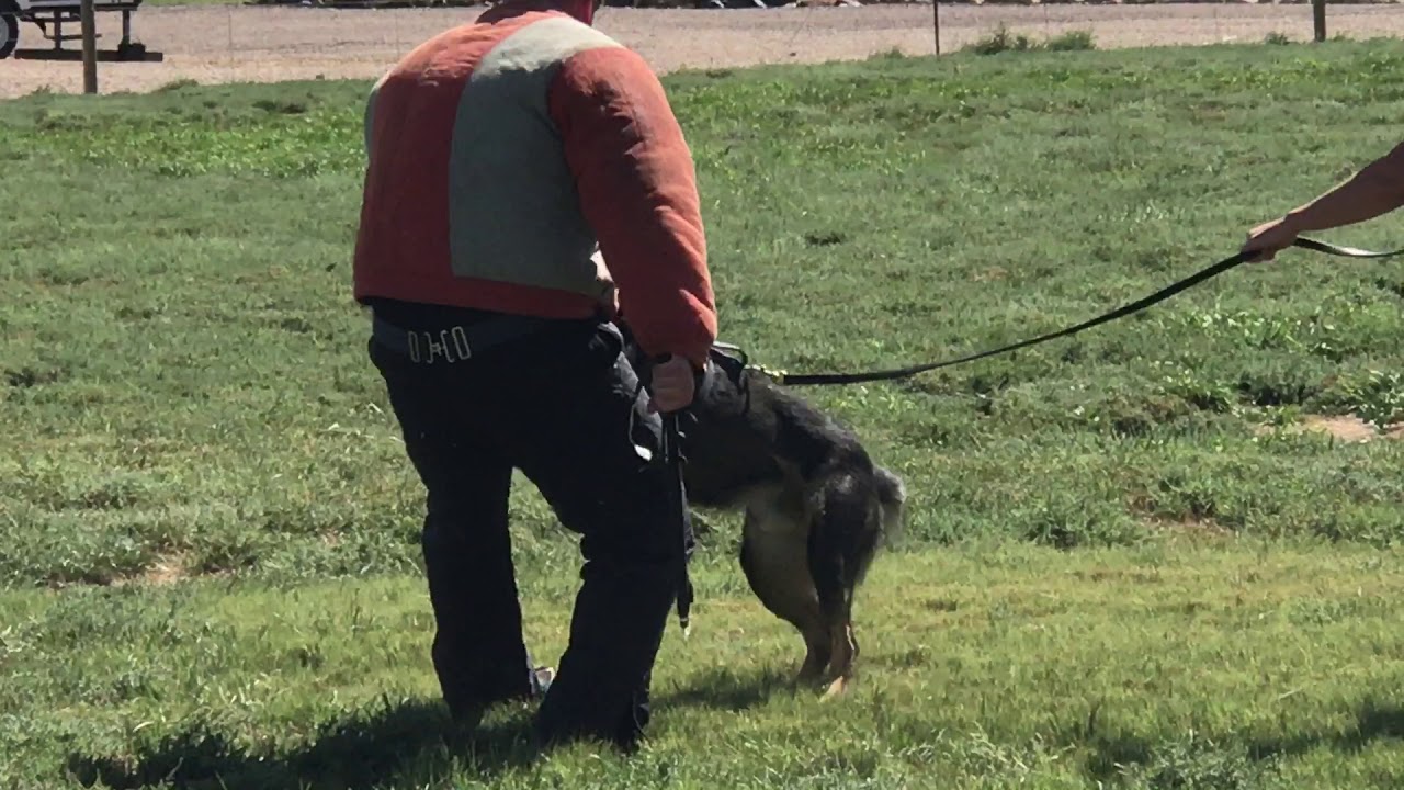 Bridget and Cairo - YouTube