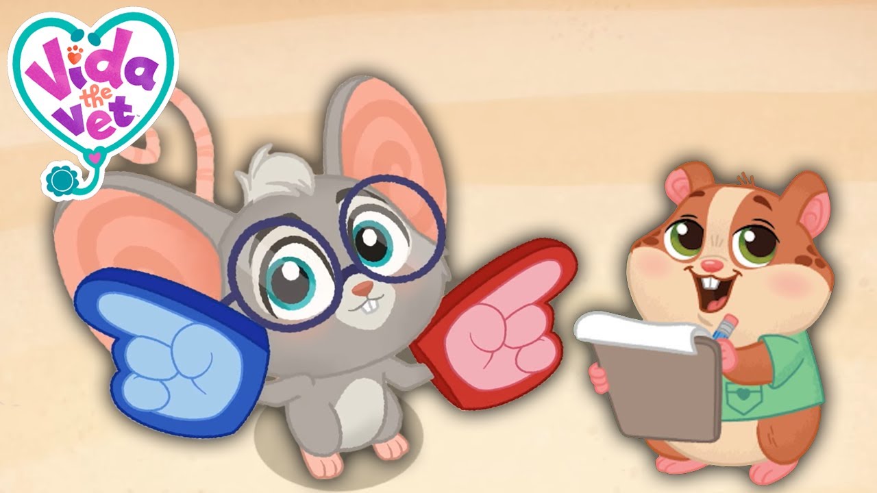 Sunny's Vet Training | Vida the Vet | Cartoons for Kids - YouTube