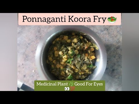 Ponnaganti Koora Fry|Medicinal plant|Good for Eye Problems| Must Watch ...
