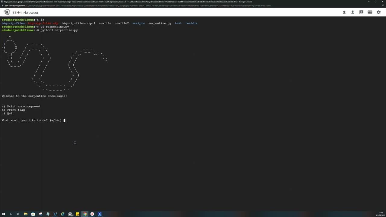 Serpentine Picoctf Walkthrough Youtube