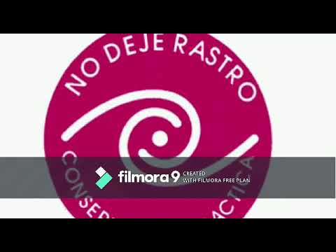 7 principios de no dejar rastro - YouTube