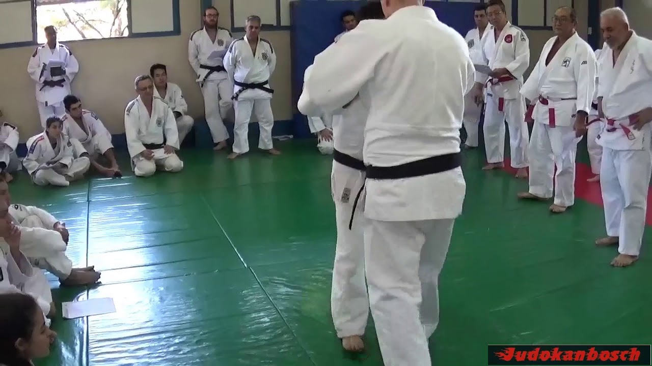 48 Sassae tsurikomi ashi e Harai goshi - YouTube