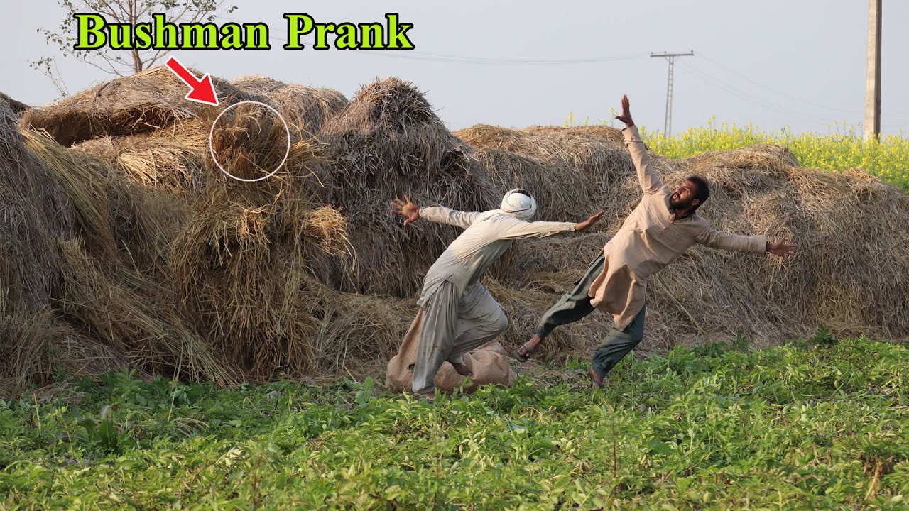 BEST OF 2022 BUSH_MAN PRANK in Pakistan !! Funniest Reaction Bushman ...