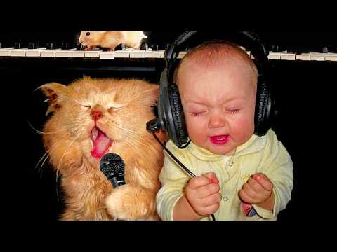 Try Not To Laugh: What Happens When Babies Meet Funny Animals? 😂 | Baby Bliss