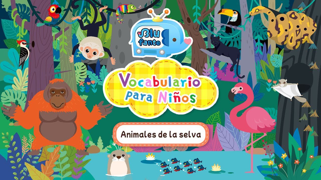 20 Animales de la selva para niños 🐒🌴 Aprende con Tarjetas de ...