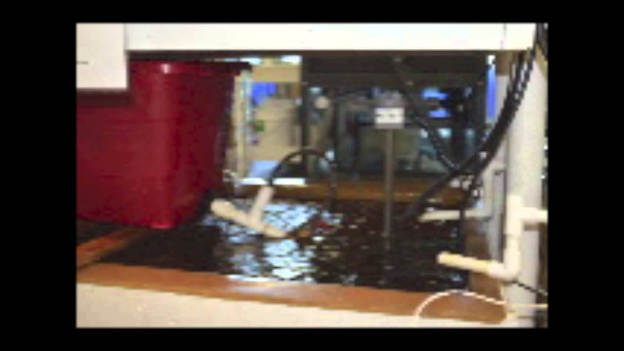 RWU Wet Lab in Photos - YouTube