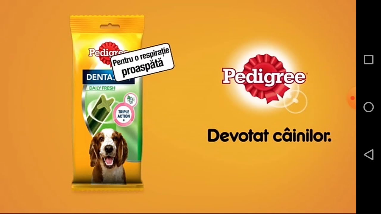 TNT CEE Romania (16.06.2020) - YouTube