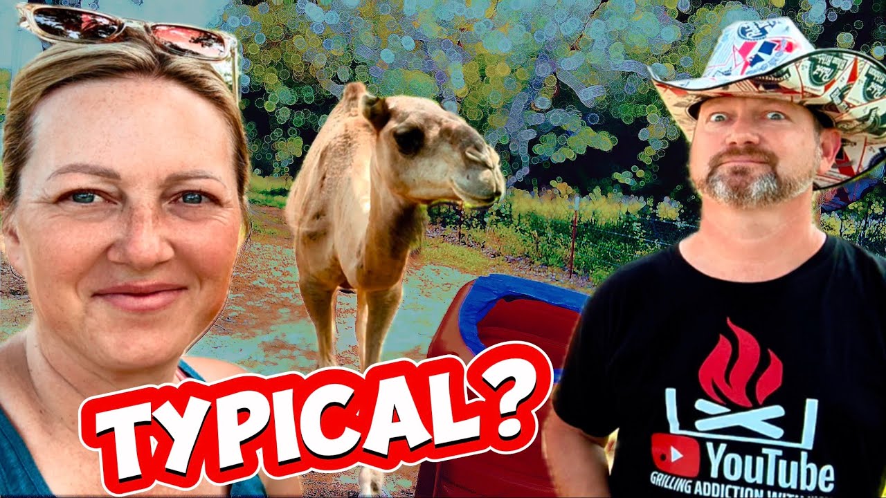 We're Just Another Typical Homestead Channel, Right? - YouTube