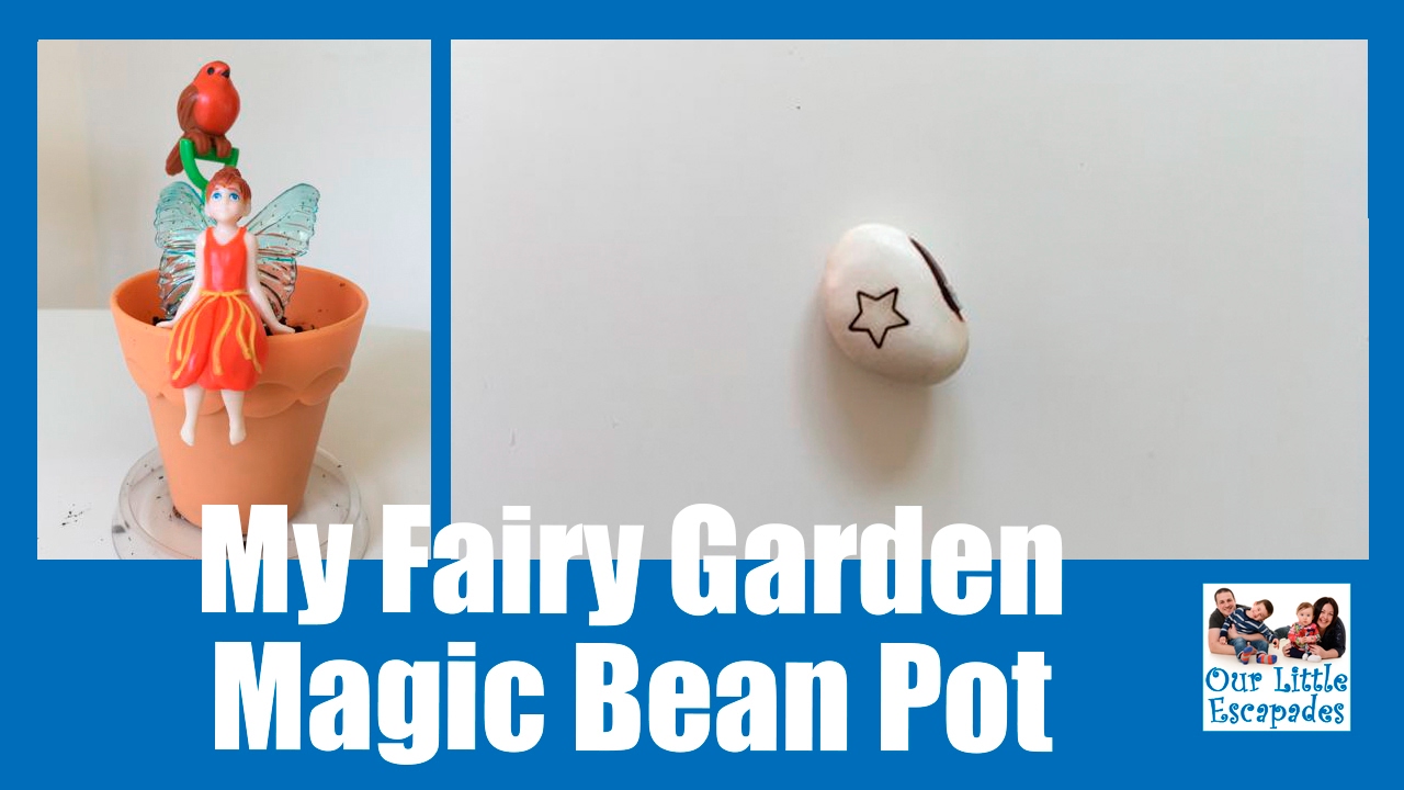My Fairy Garden Magic Bean Pot Unboxing and Seed Planting - YouTube