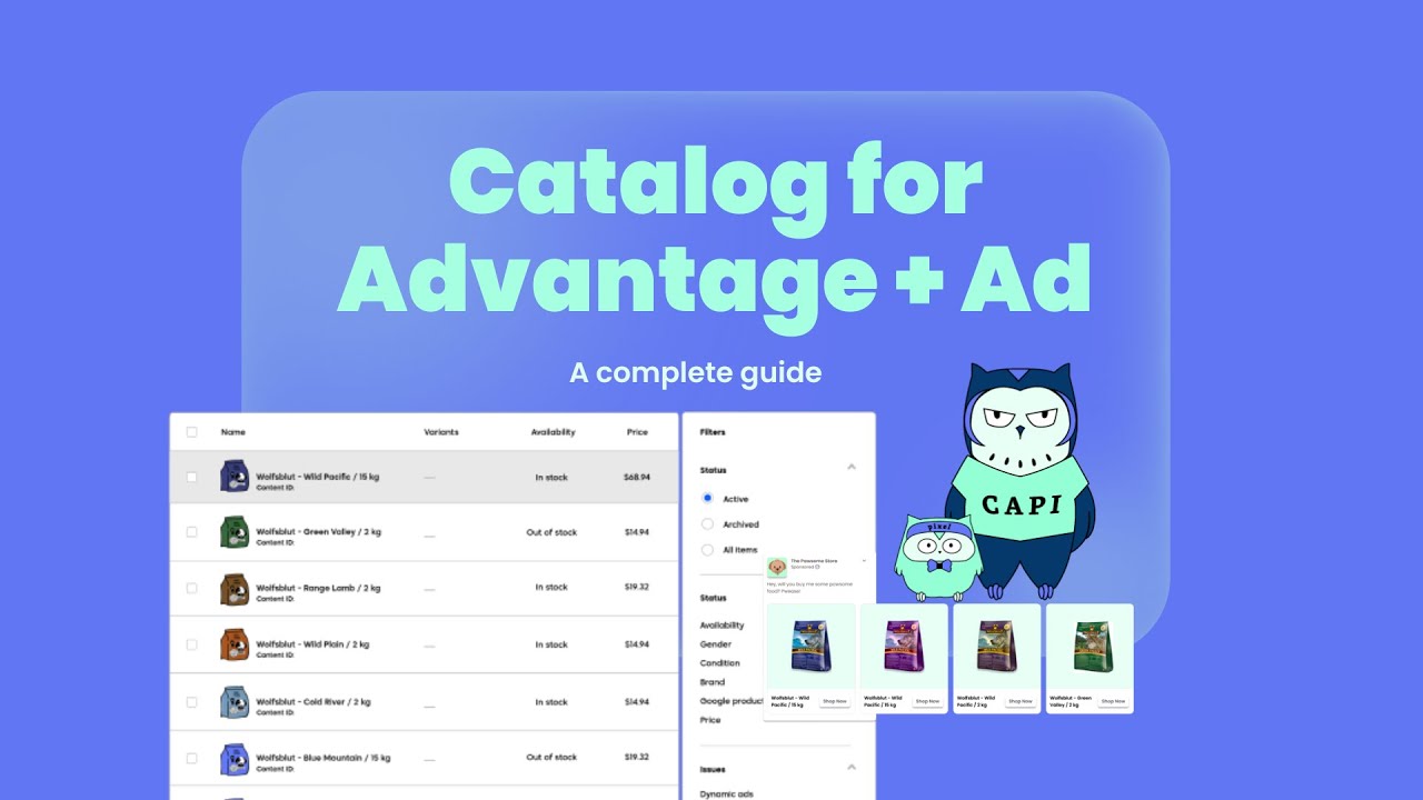2023-Advantage+ Ad - Complete Catalog setup guide for Facebook Ads ...