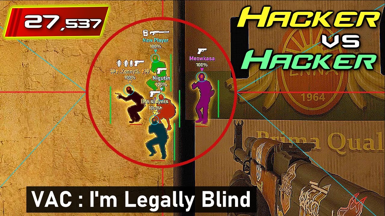 CS2 VAC is a Joke - YouTube
