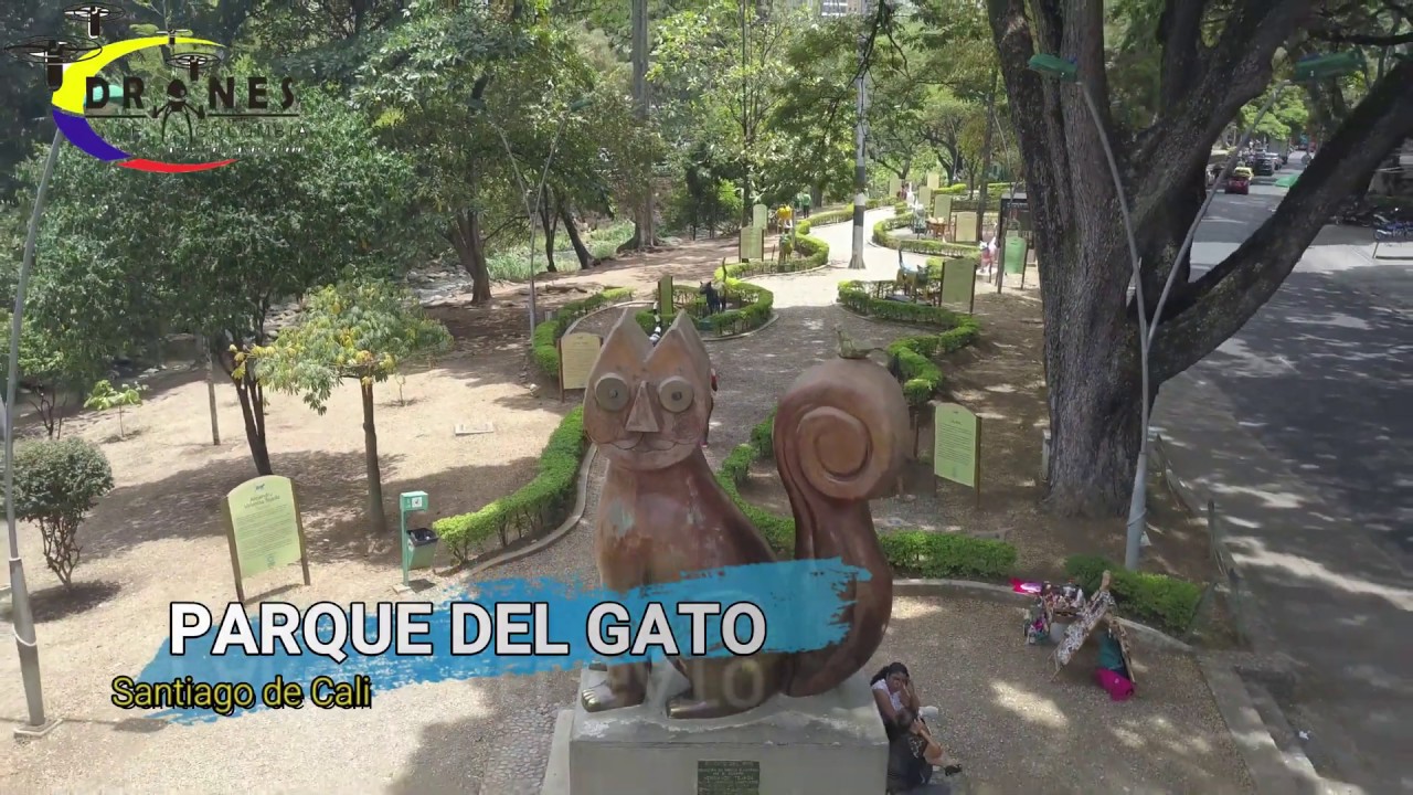 Parque del gato - YouTube