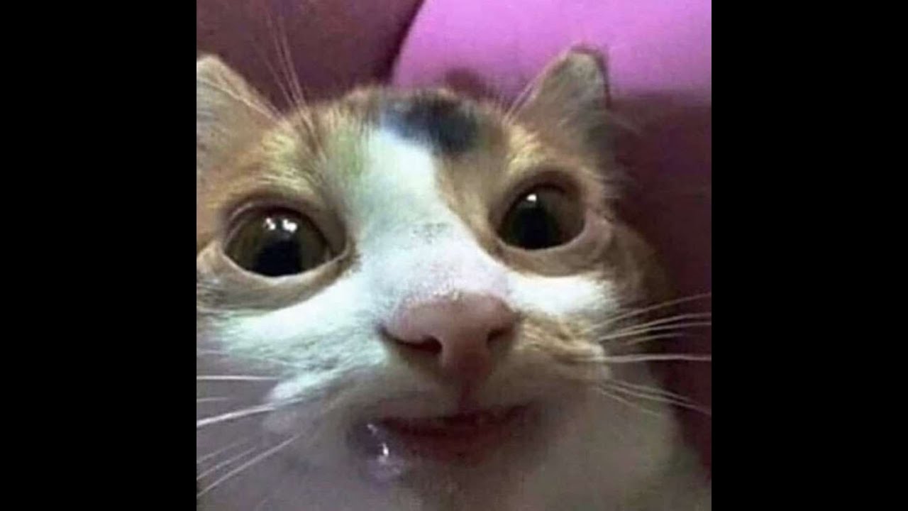 Dkane is a mental patient - YouTube