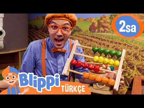 Blippi Çocuk Müzesinde! ⚓ Sandallar, Kuşlar ve Kum Oyunları | Blippi Türkçe - Çocuklar için Videolar