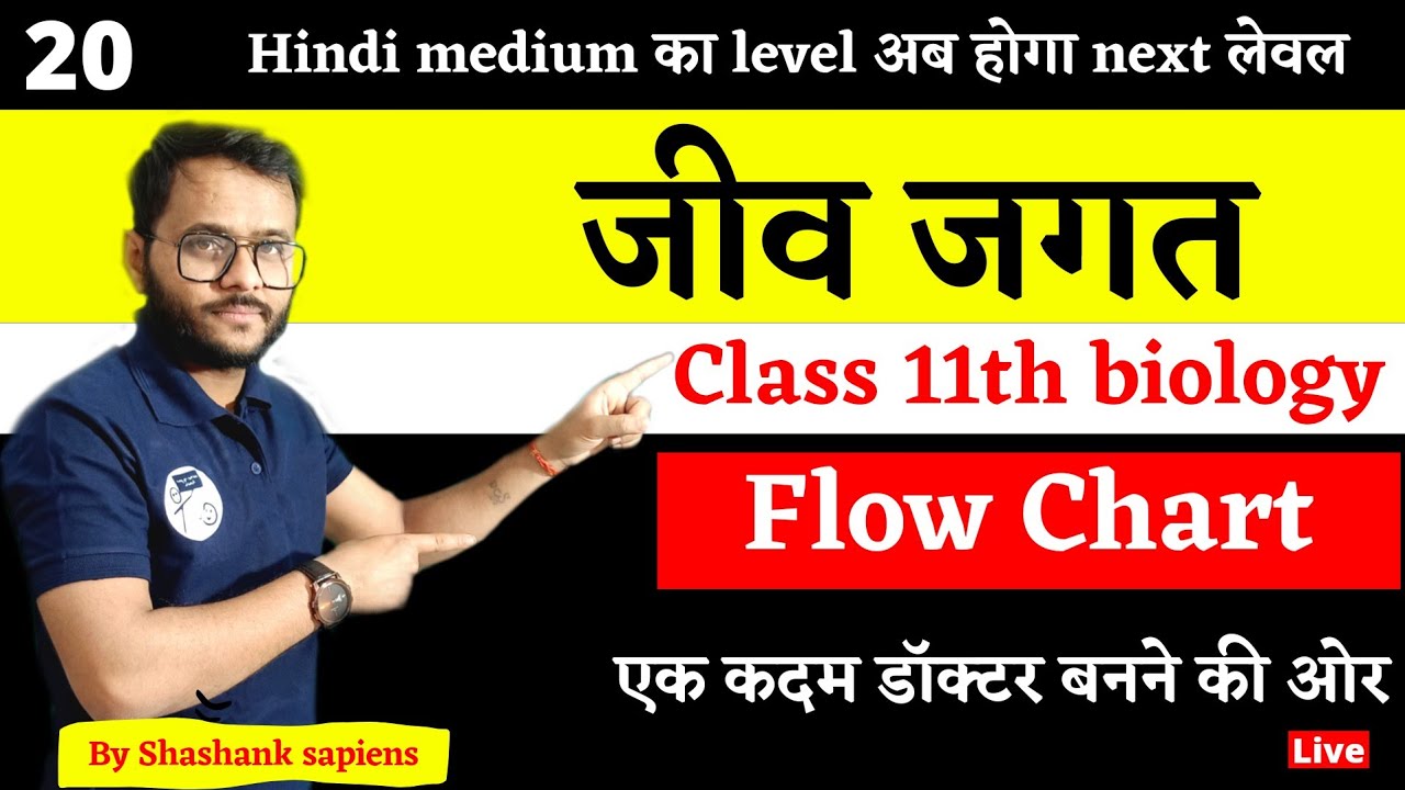 CH 01 || The living world || Flow Chart || Class 11 || Lec 20 - YouTube