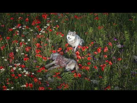 Red Dead Redemption 2 - When a wolf cries