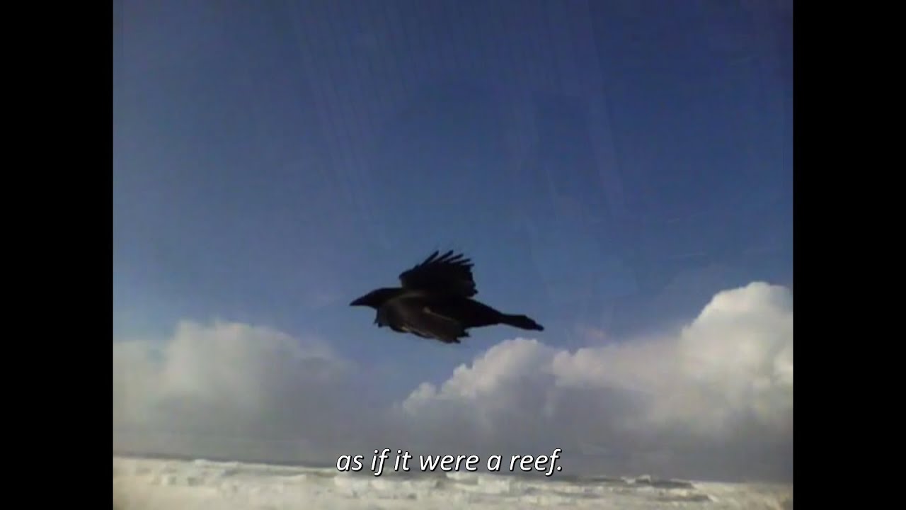 Let Me Float on the Wind - YouTube Music