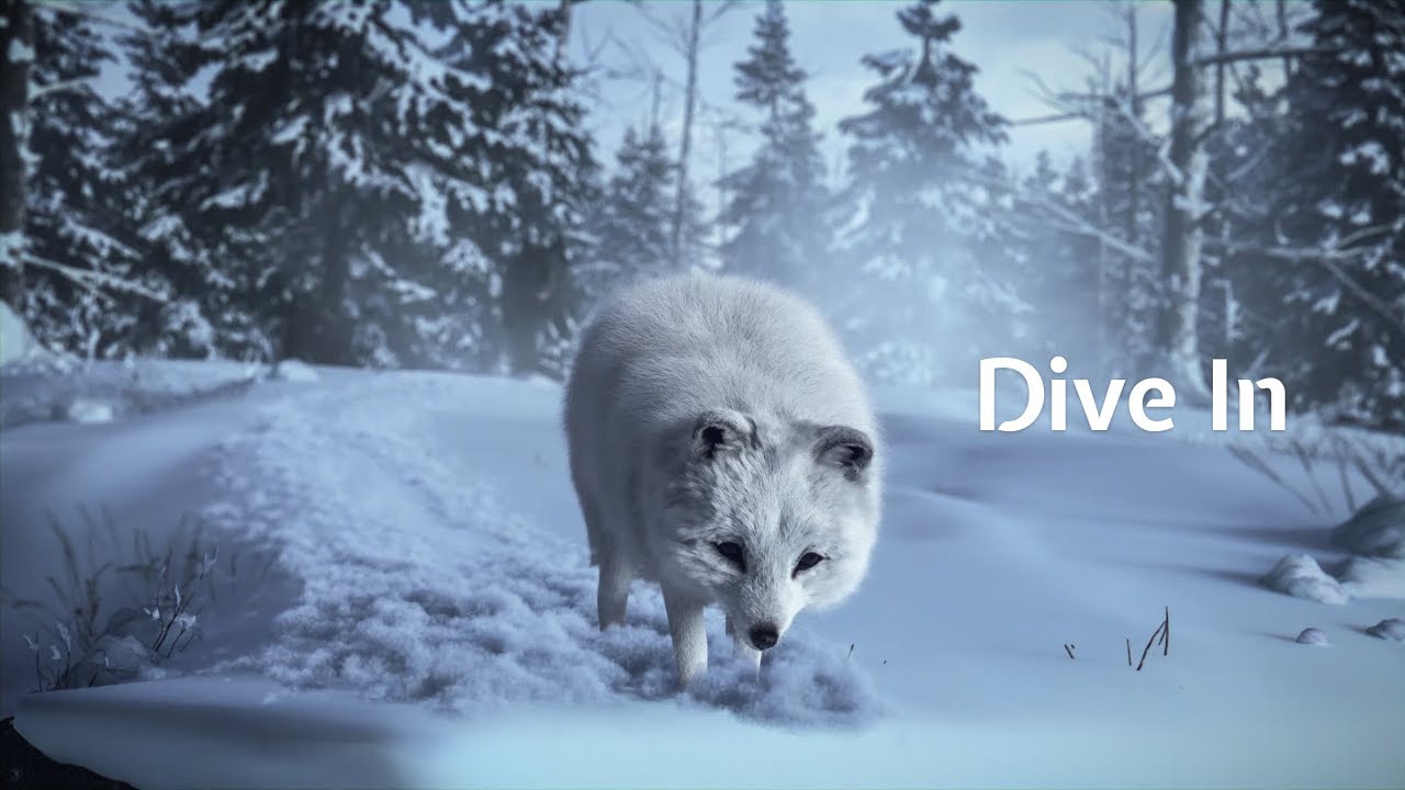 Arctic Fox presents Dive In - YouTube
