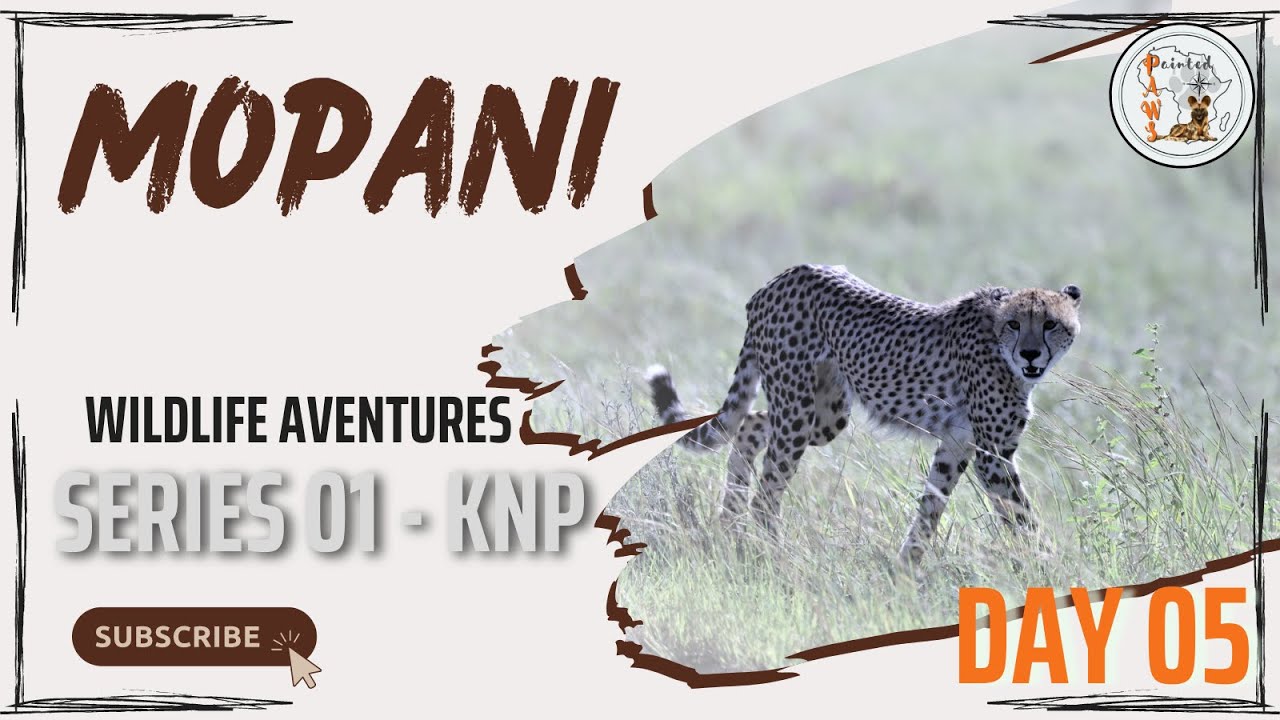 Wildlife, Mopani Camp, KNP (Day5) - Never seen so much water in the ...