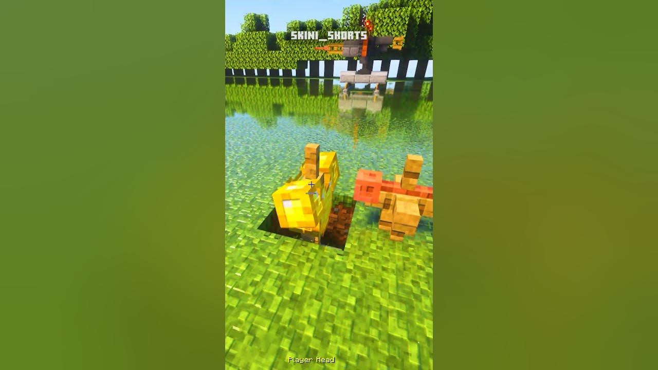 Minecraft: sniper - YouTube