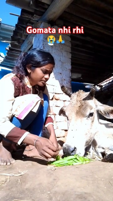 Hamari Go Mata Ab Nhi Rhi 😭🙏।।#minivlog #gomata - YouTube