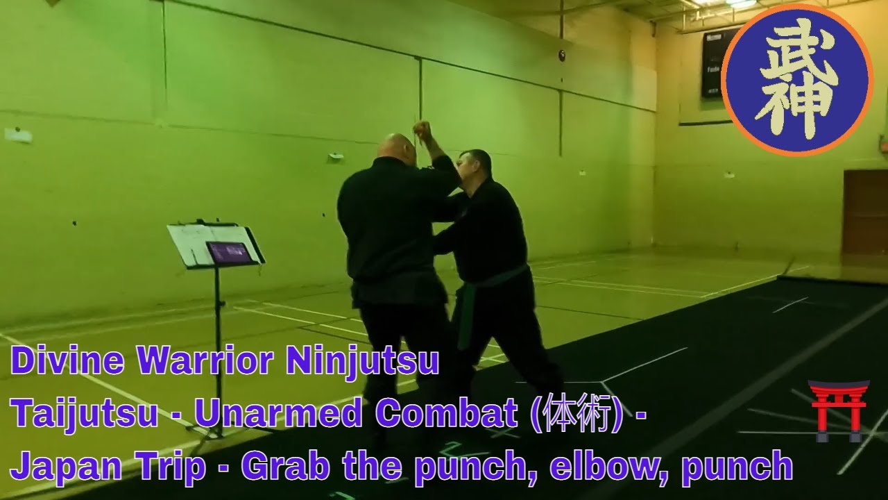 Japan Trip - Grab the punch, elbow, punch - Taijutsu - Unarmed Combat ...