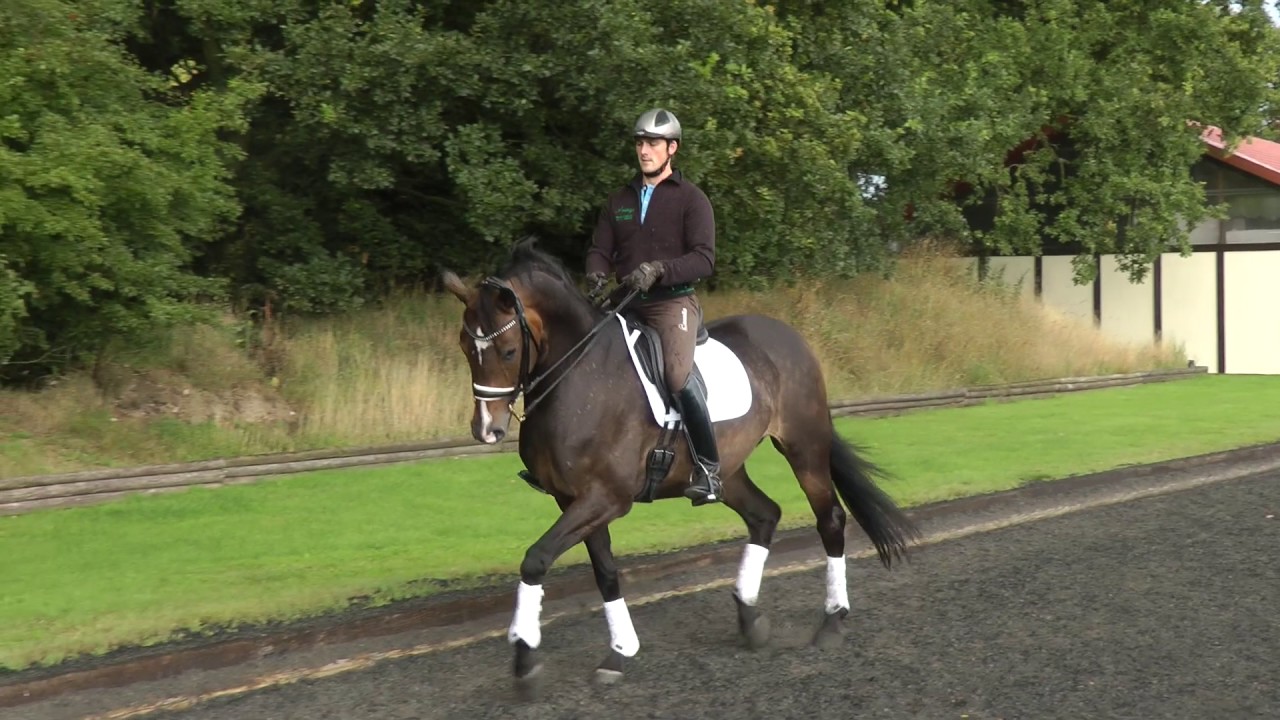 How to ride lateral movements with Michael Eilberg | Horse&Rider - YouTube