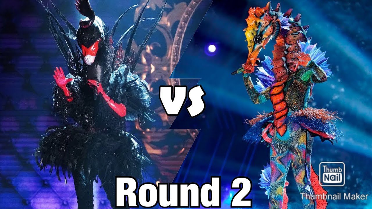 Black Swan vs. Seahorse | The Best Of All Time | Group A Finale (Round ...