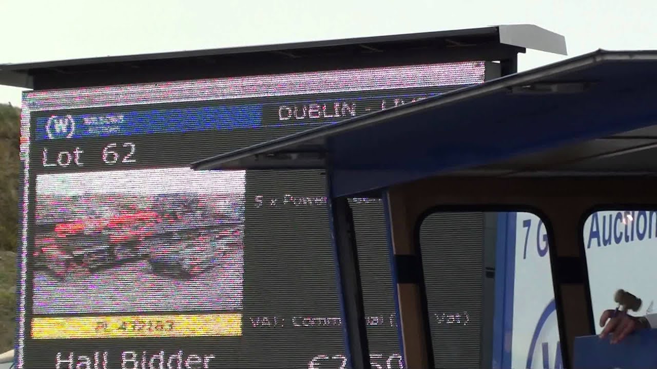 Wilsons Auctions - The Kilsaran Auction - Irelands Largest Auction of ...