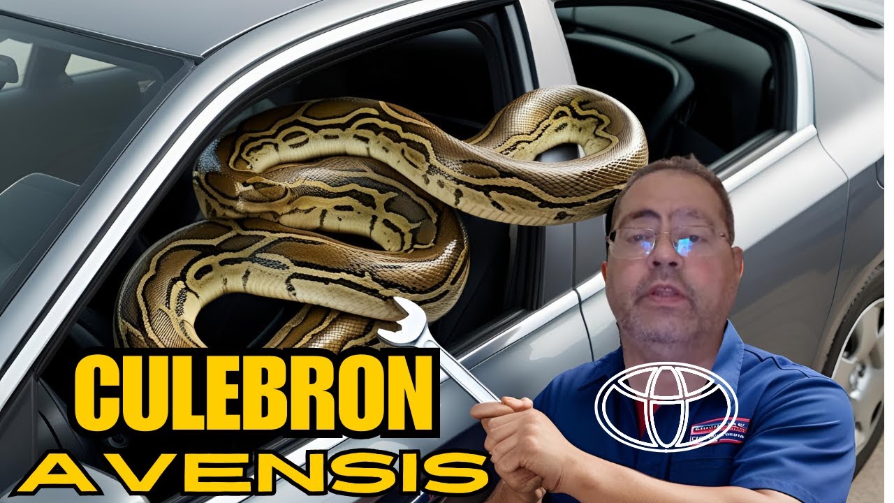 El culebron Avensis y otras hierbas - YouTube