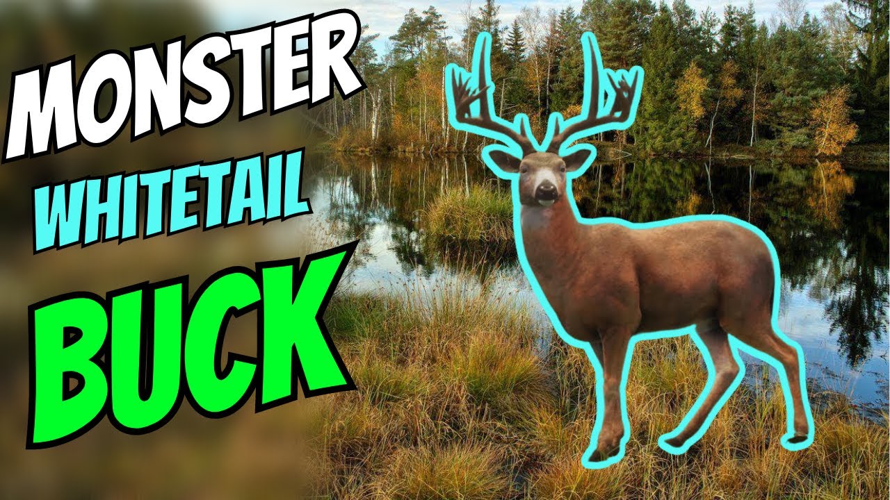 Bow Hunting a Giant DIAMOND WHITETAIL DEER!! Call Of The Wild - YouTube