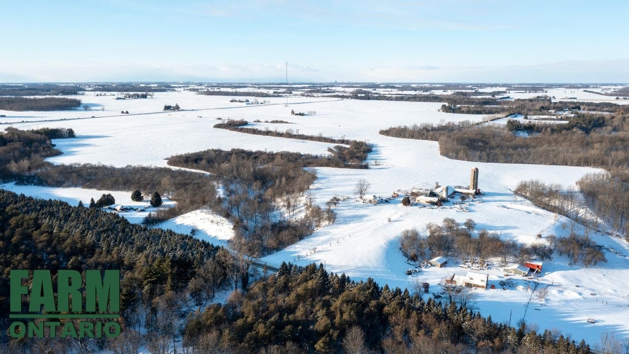 44382 Ferguson Line, St Thomas | Farms For Sale In Ontario - YouTube