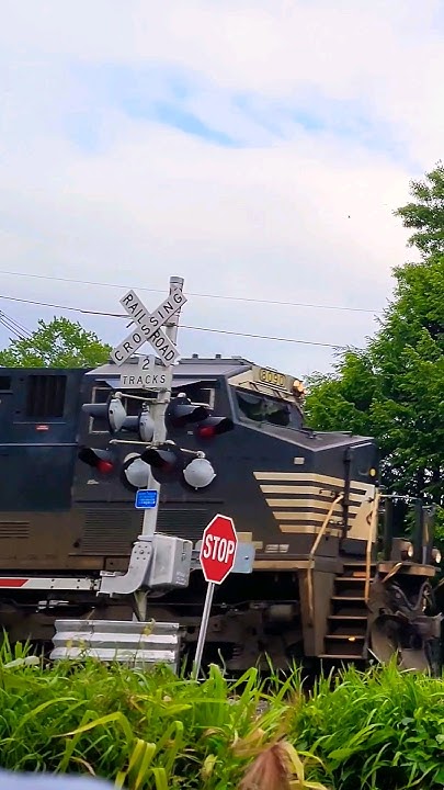 8090 and 4583 NS Train - YouTube