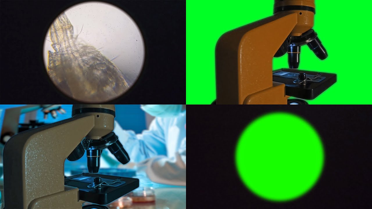 Footage on a green background. Microscope on a green background. Chroma ...