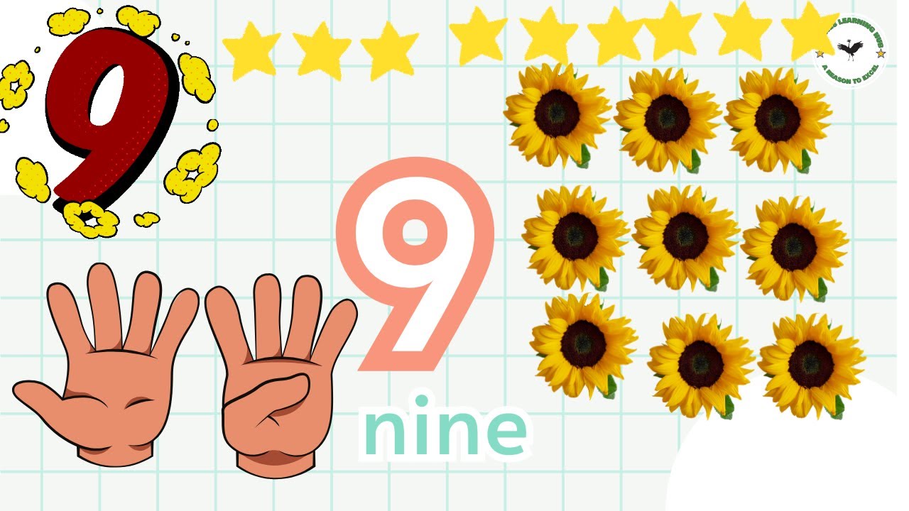 Number 9 - Counting for Toddlers #kidsvideo #preschool #earlymathskills ...