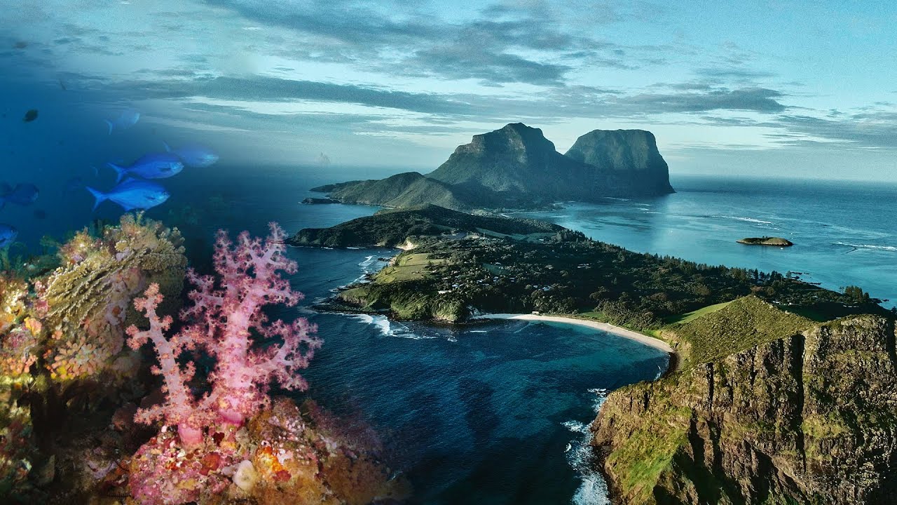 Sky & Sea | Magical Lord Howe Island 4K Footage: Underwater and Drone ...