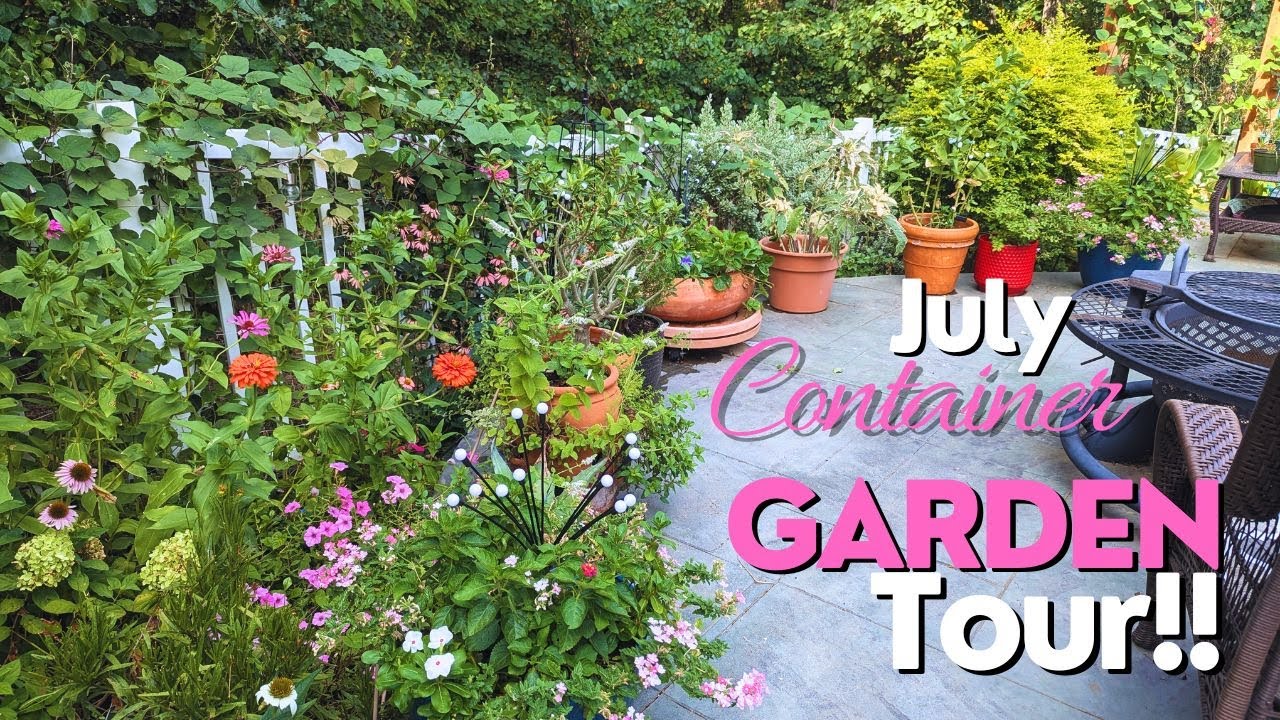 Container Garden Tour in July!! North Texas Summer Garden - YouTube
