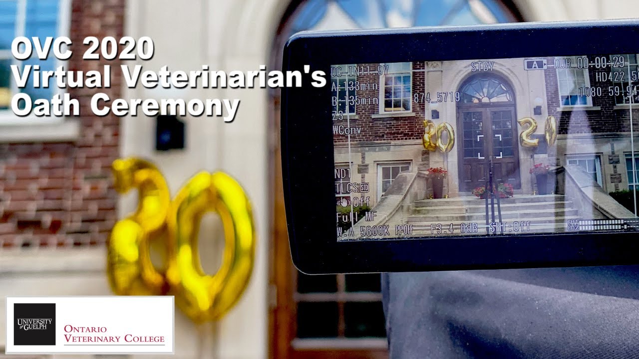 OVC 2020 Virtual Veterinarian's Oath Ceremony - YouTube