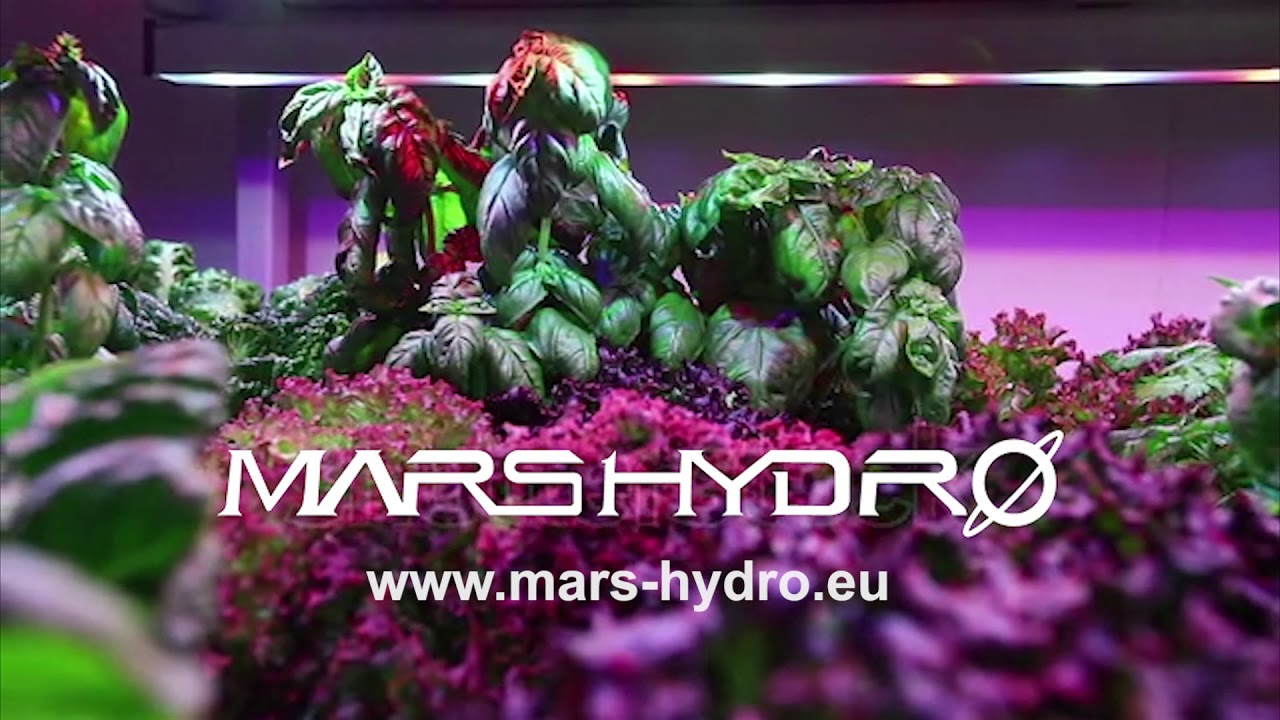 Mars Hydro TS 3000 Grow Light - YouTube