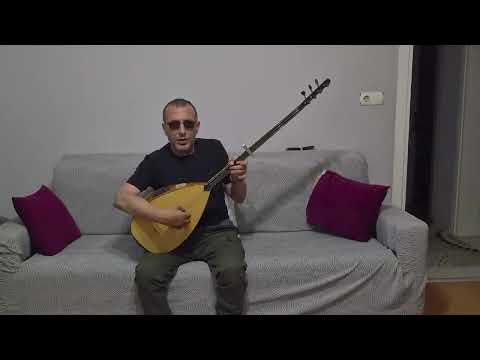 Fesih Meşe